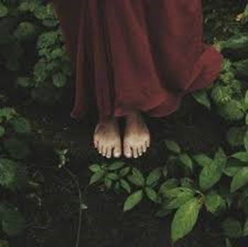 My Workshops - Take Back the Magic